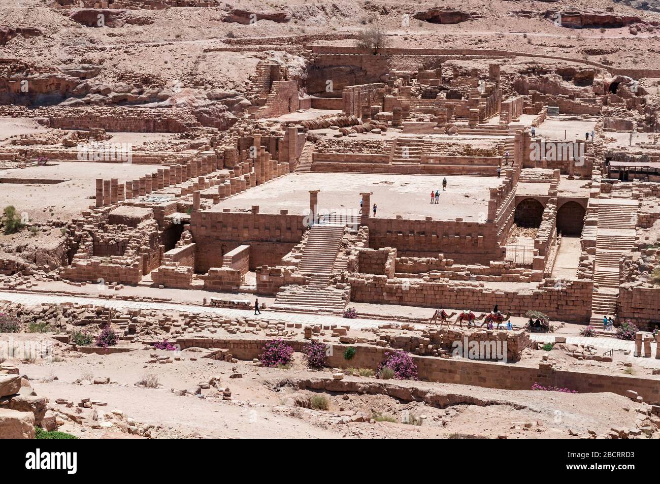 panoramic view to the ruins of the roman great temple in ancient petra ...