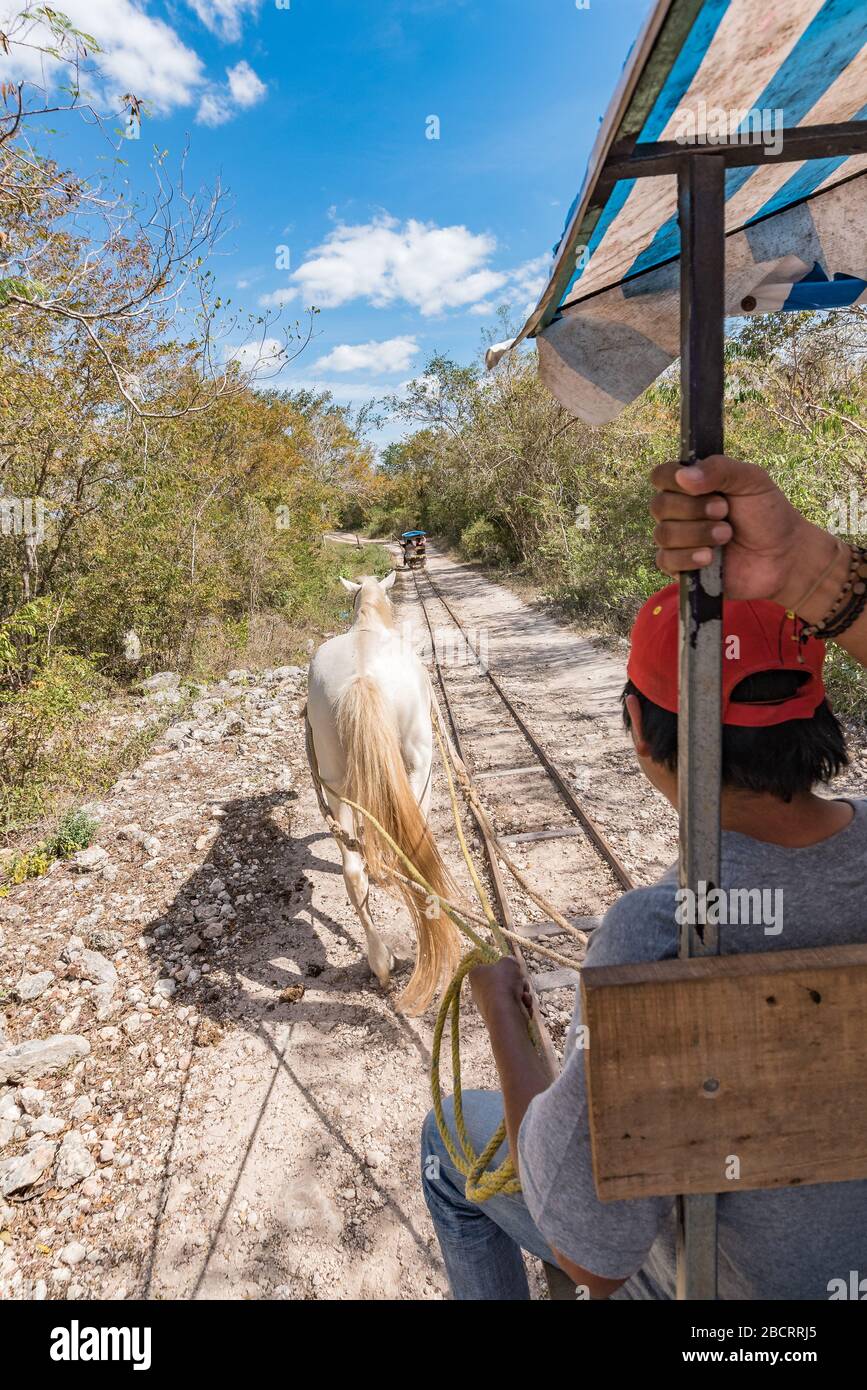 riding on maya trail to cenotes near Cuzama, Mexico Stock Photo - Alamy