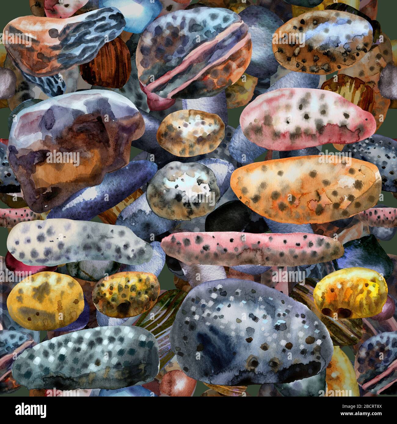 Watercolour pebbles hi-res stock photography and images - Alamy