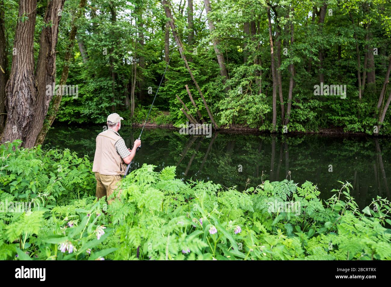 fishing trouts at river diemel, germany Stock Photo - Alamy