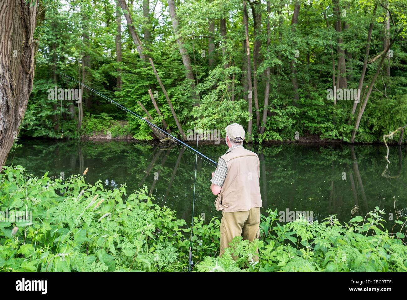 fishing trouts at river diemel, germany Stock Photo - Alamy