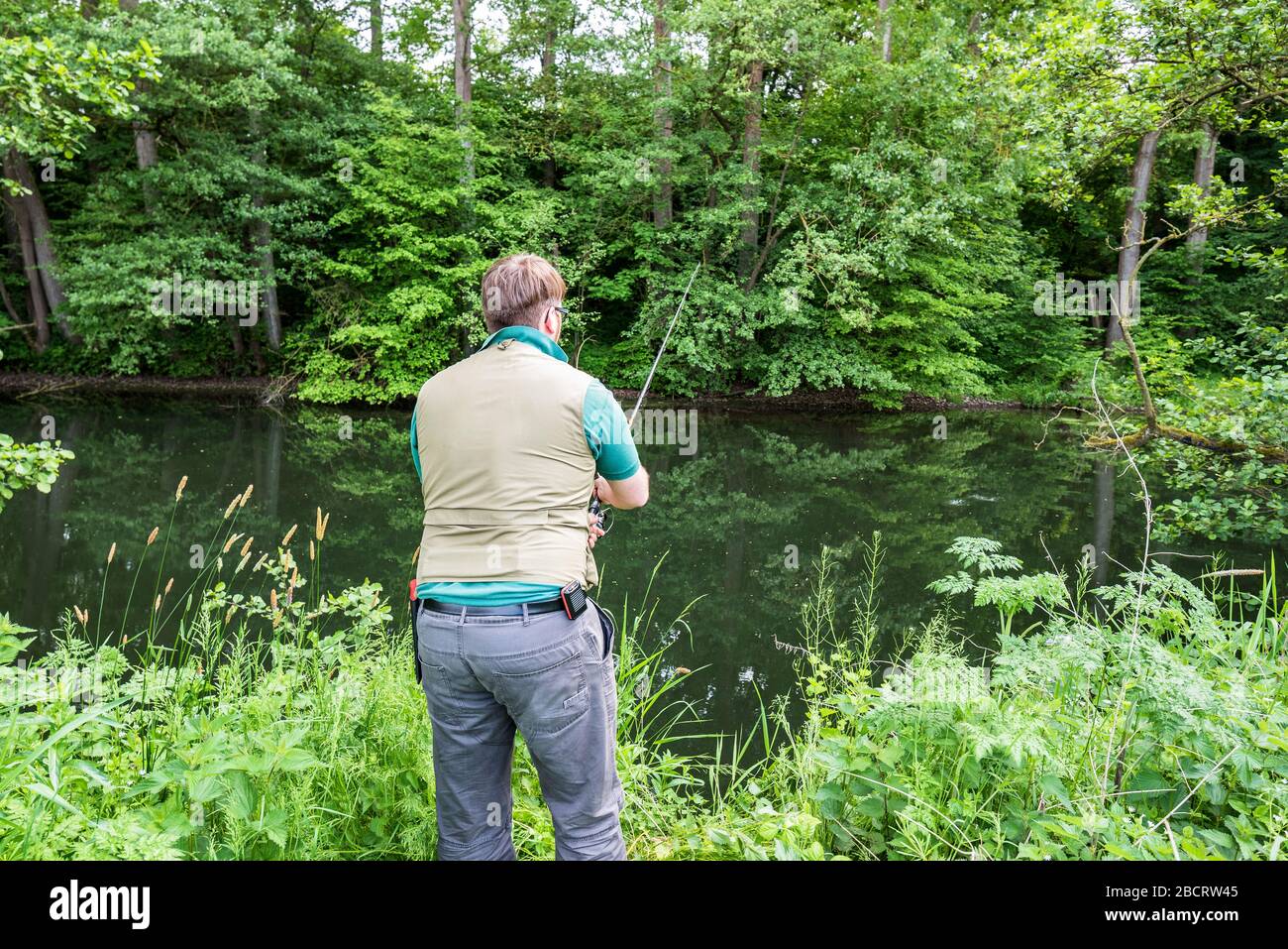 fishing trouts at river diemel, germany Stock Photo - Alamy