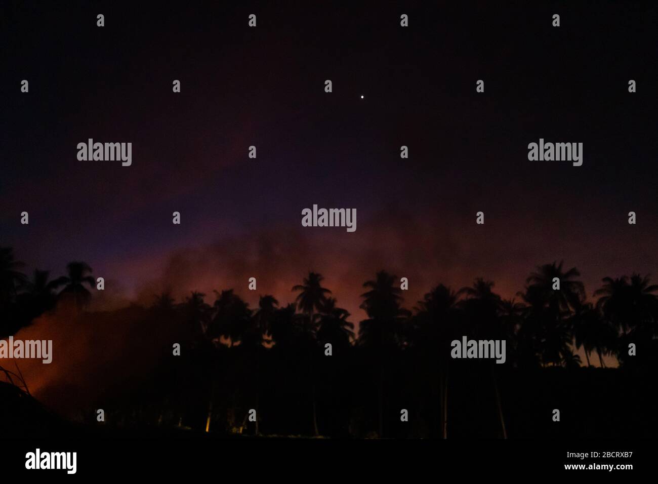 Smoke from a bonfire in a rainforest at sunset. Fires in the forest ...