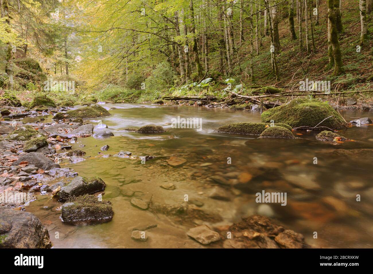 Close up mountain river hi-res stock photography and images - Alamy