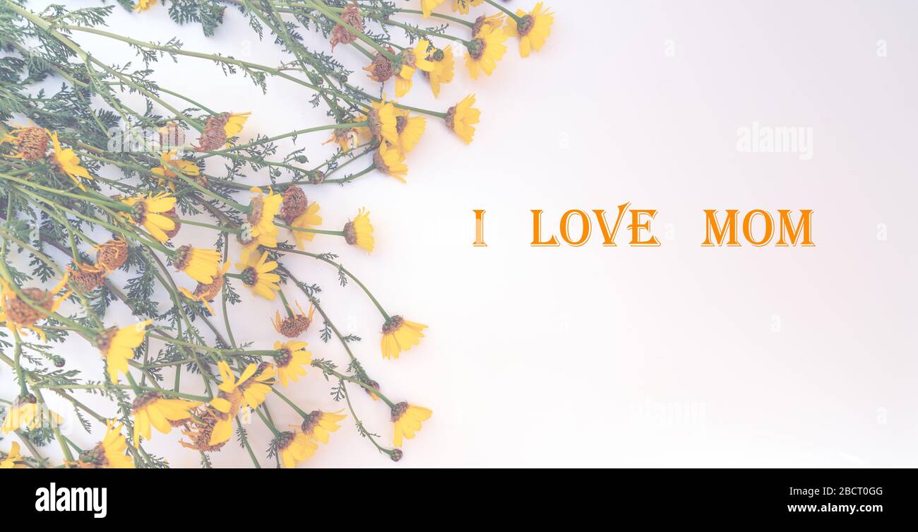 Mother's Day in spring Stock Photo - Alamy