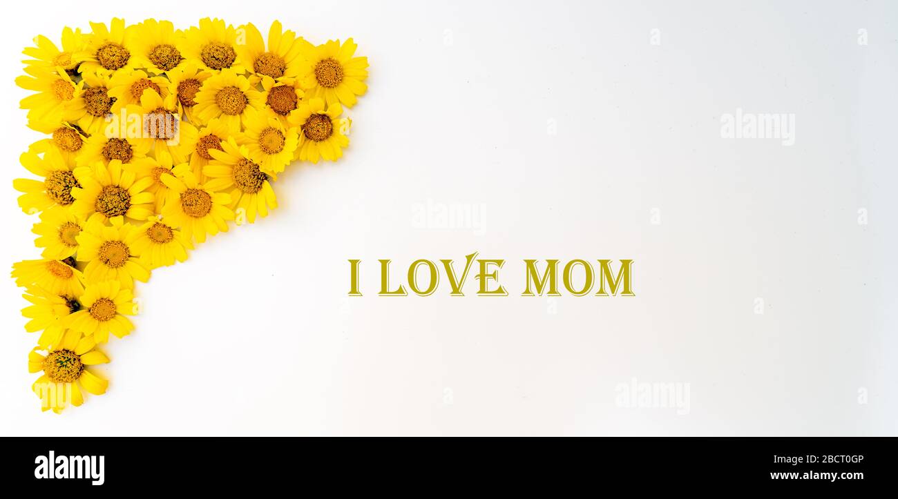 Mother's Day in spring Stock Photo - Alamy