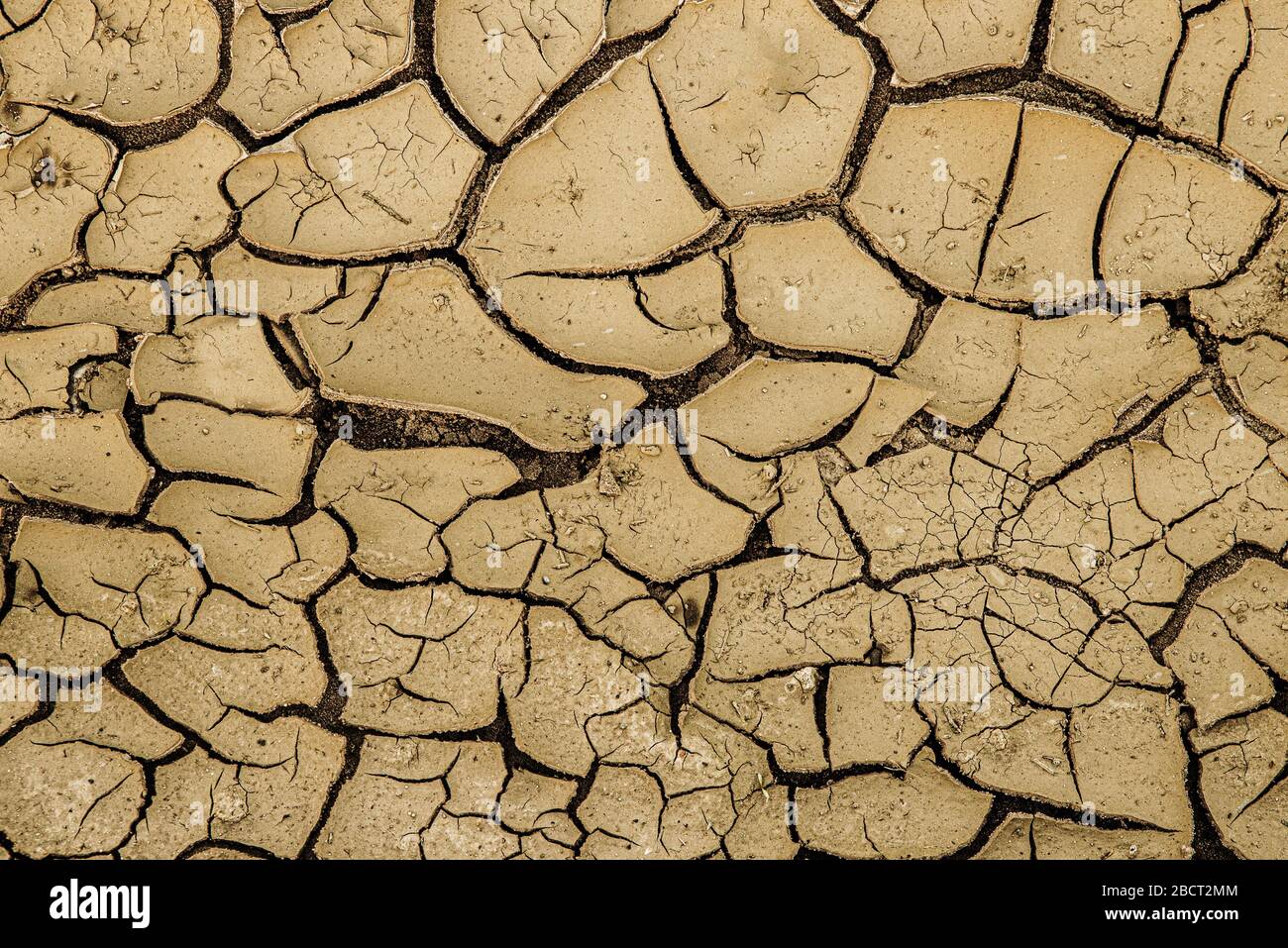 cracked earth background or texture Stock Photo - Alamy