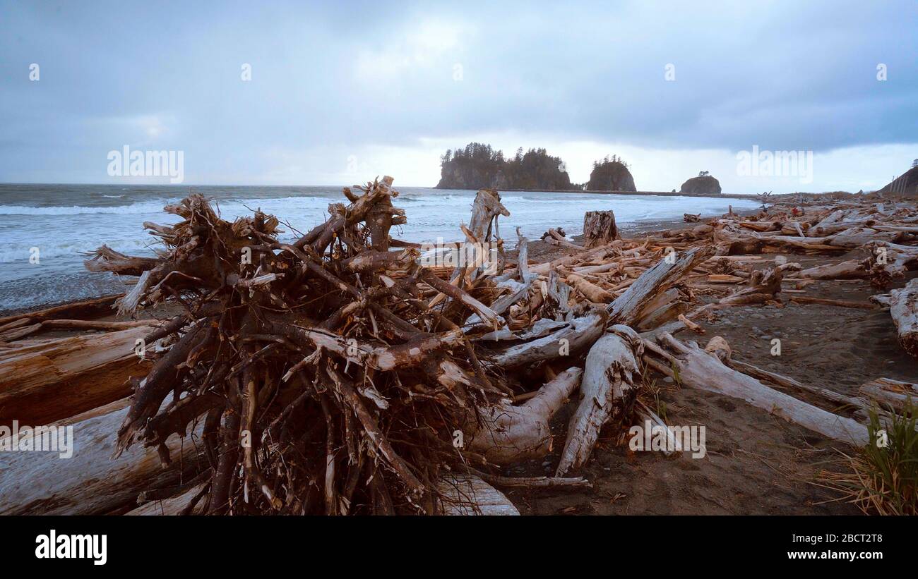La Push - the famous beach at the Quileute Reservation - travel ...