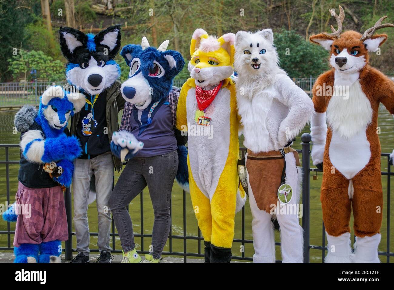 Fursuit hi-res stock photography and images - Alamy