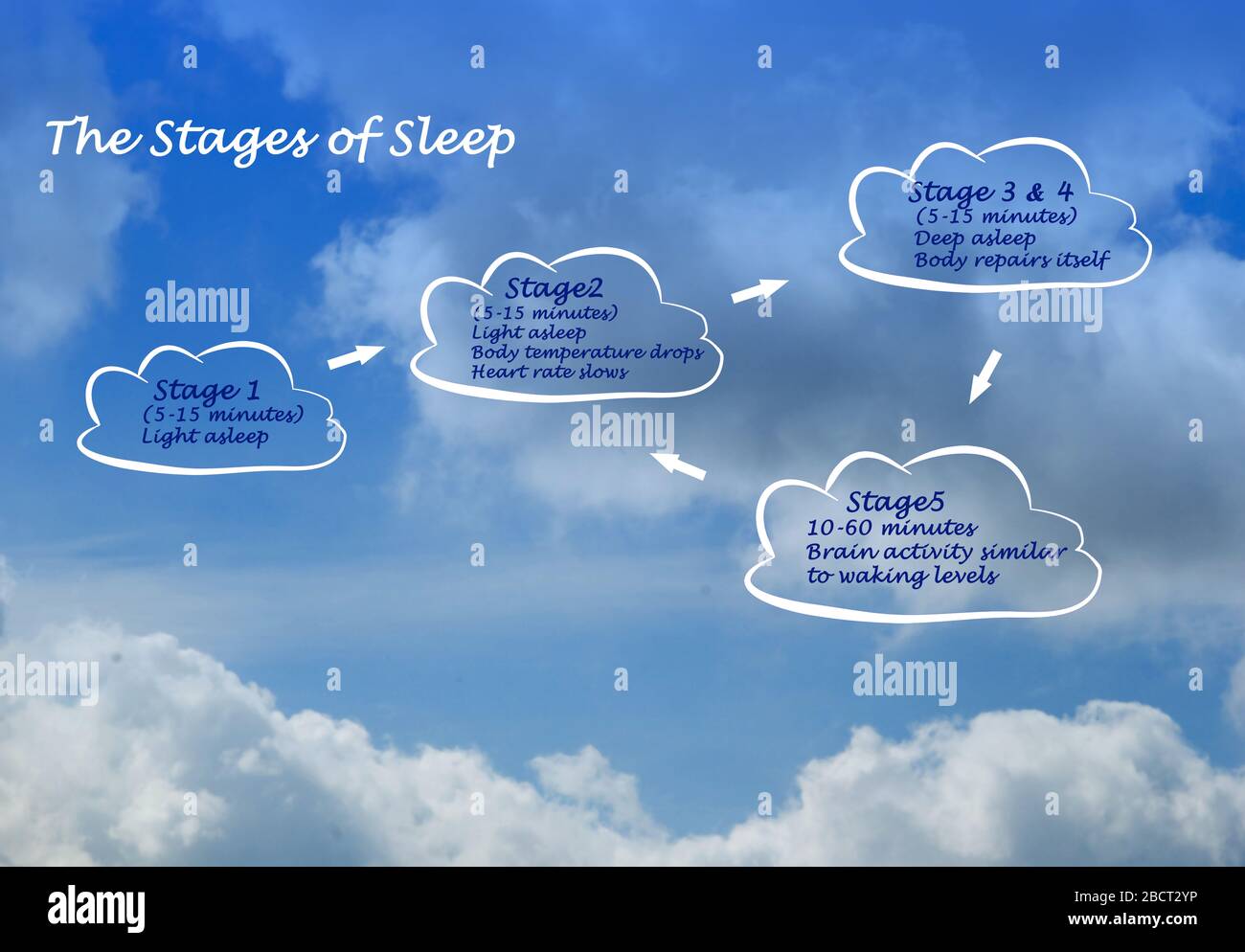 Four Stages of Normal Sleep Stock Photo - Alamy