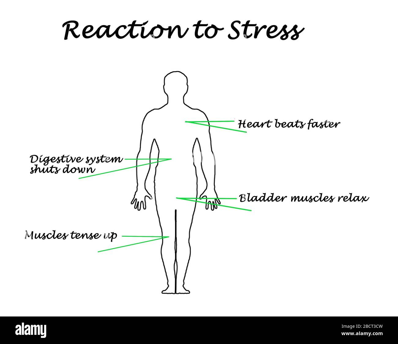 Reaction of People to Stress Stock Photo - Alamy