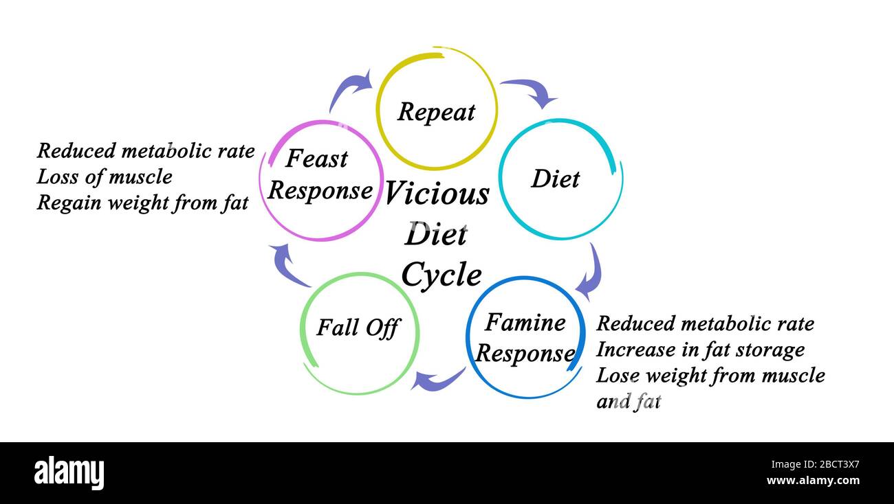 Steps in Vicious Diet Cycle Stock Photo - Alamy