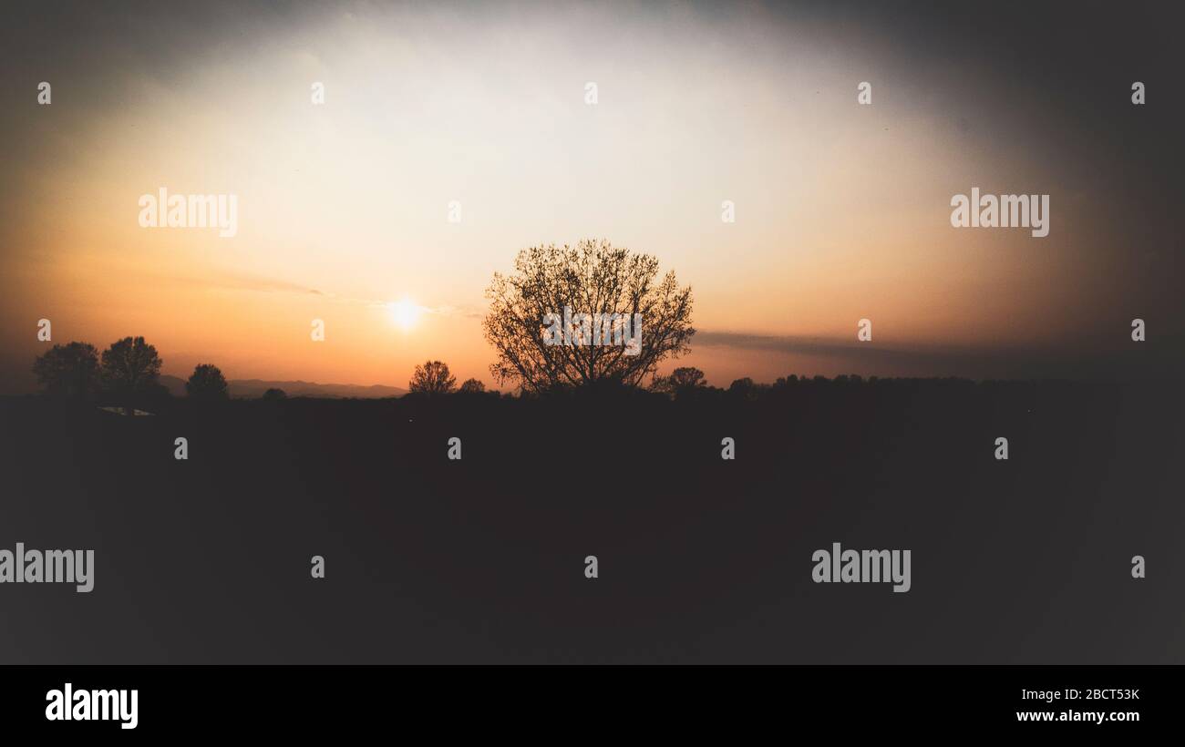 Black backlit trees hi-res stock photography and images - Alamy