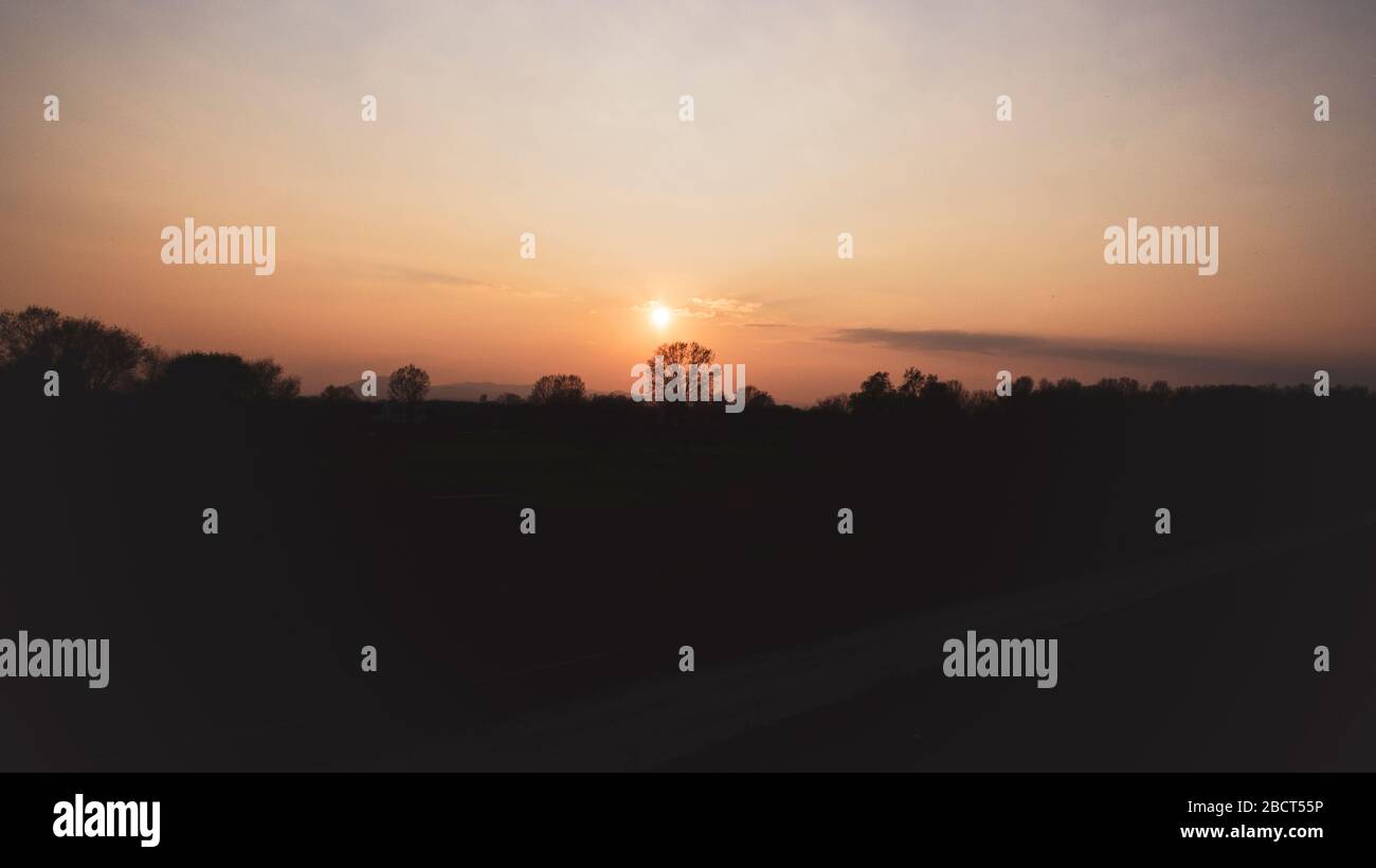 Backlit trees at sunset Stock Photo - Alamy