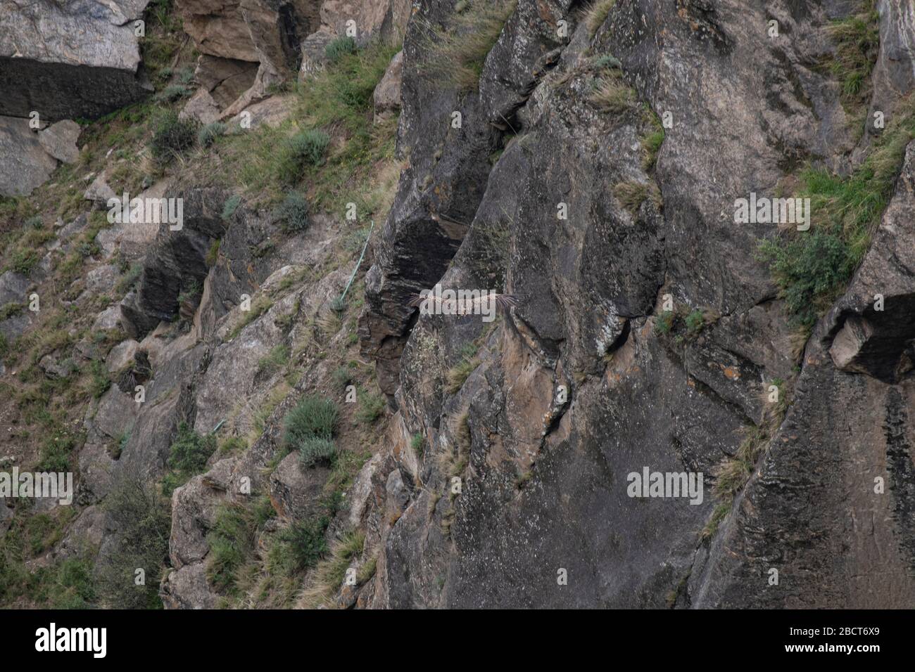 Rock patterns on a mountain surface in Sangla Valley Stock Photo - Alamy