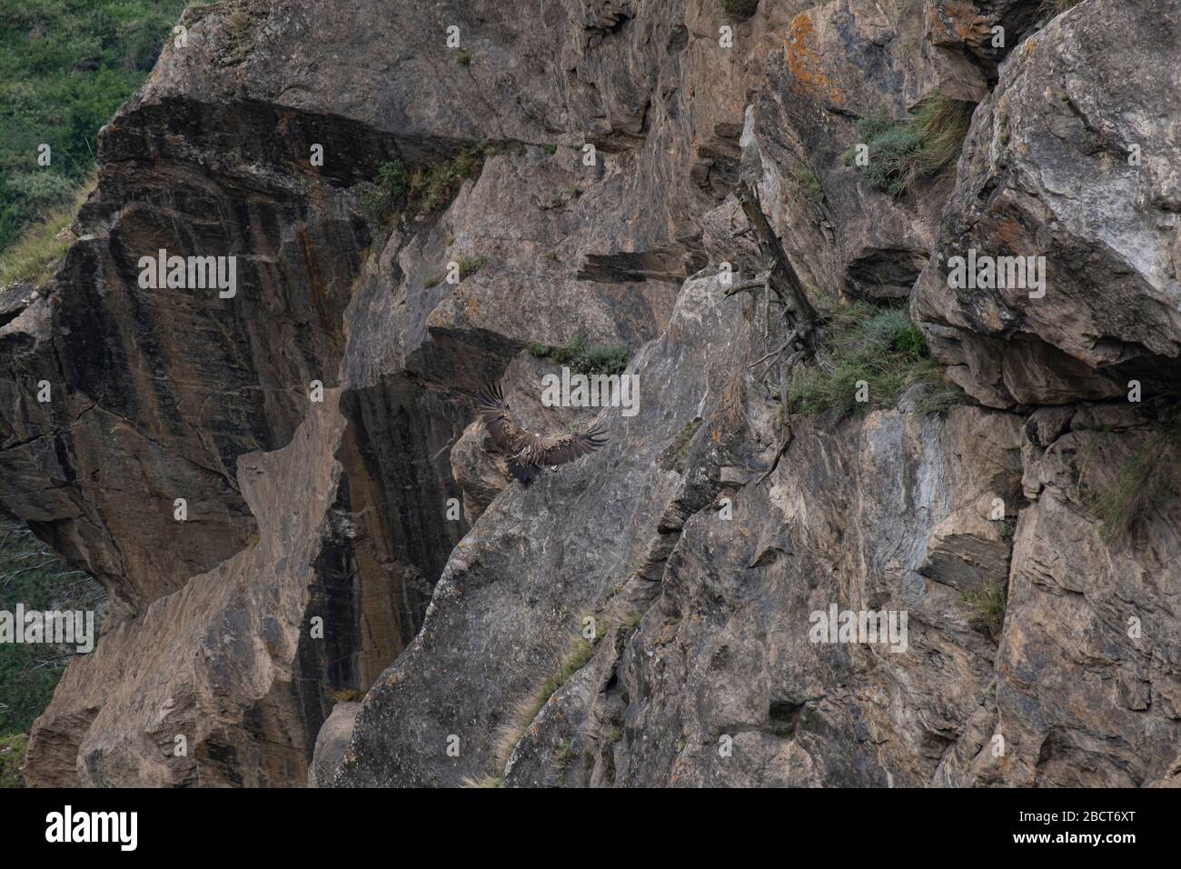 Rock patterns on a mountain surface in Sangla Valley Stock Photo - Alamy