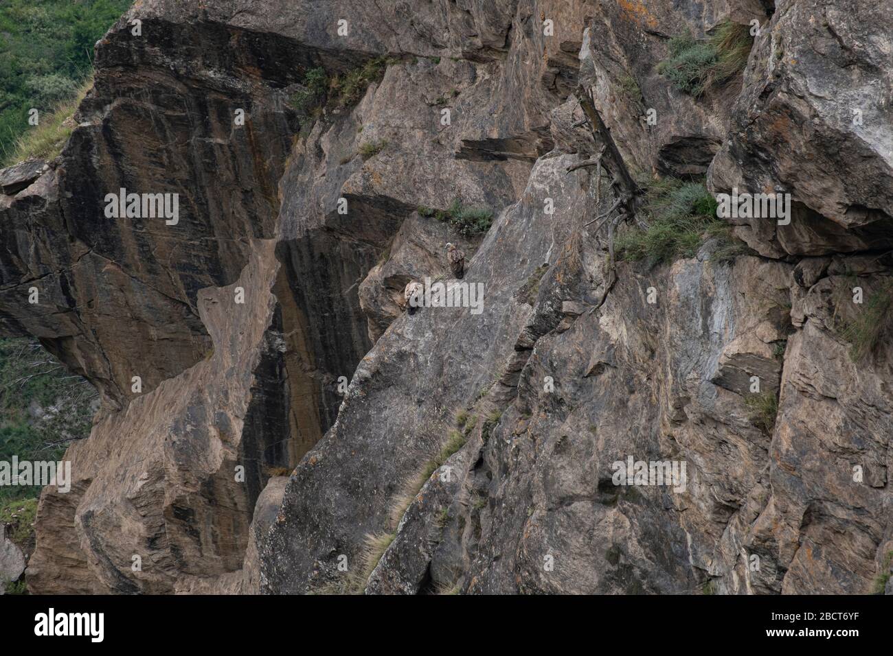 Rock patterns on a mountain surface in Sangla Valley Stock Photo - Alamy
