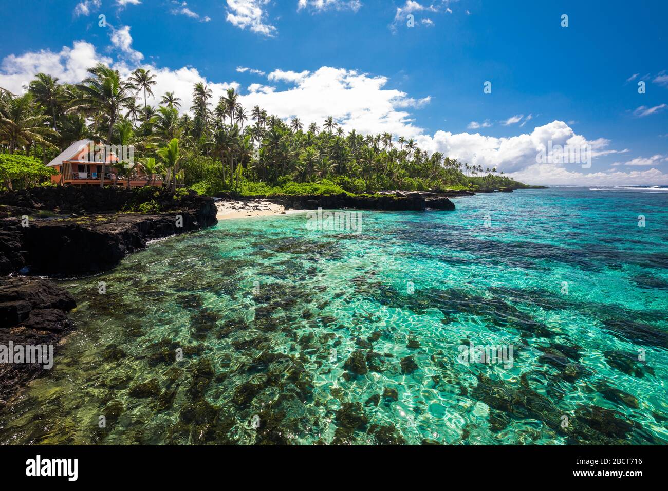 Tropical beach on south side of Samoa Island with coconut palm trees ...