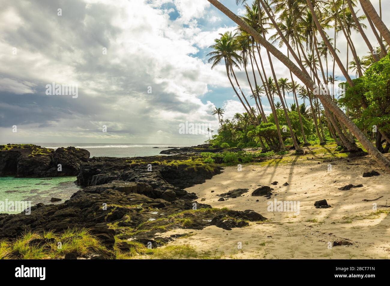 Tropical beach on south side of Samoa Island with coconut palm trees ...