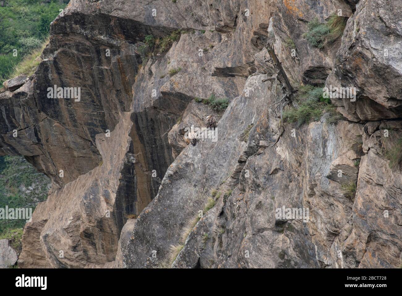 Rock patterns on a mountain surface in Sangla Valley Stock Photo - Alamy