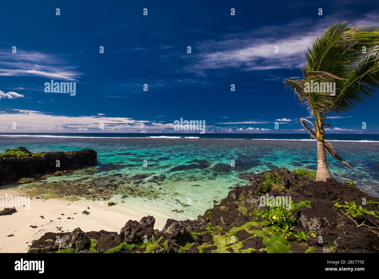 Tropical beach on south side of Samoa Island with coconut palm trees ...