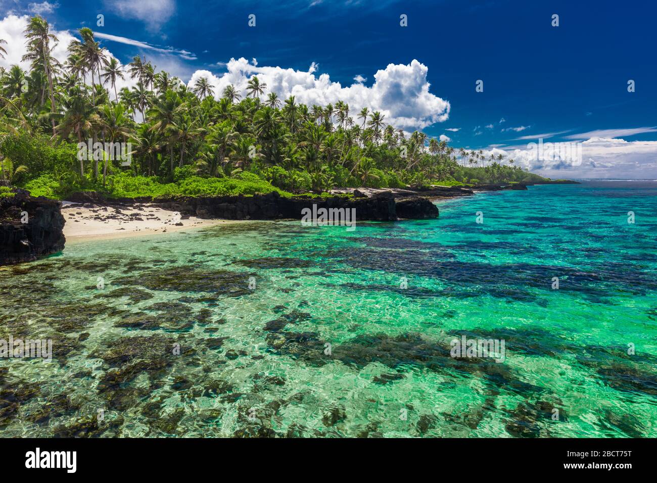 Tropical beach on south side of Samoa Island with coconut palm trees ...