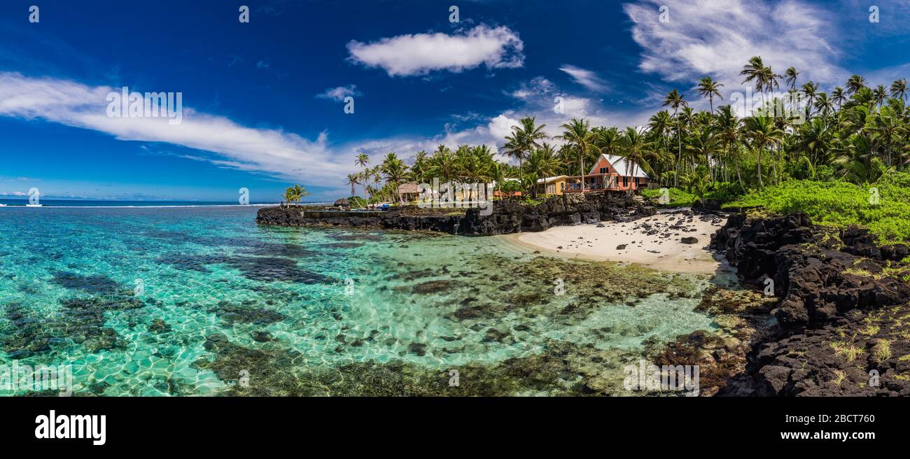 Vibrant tropical beach with palm trees, Upolu, Samoa Stock Photo - Alamy