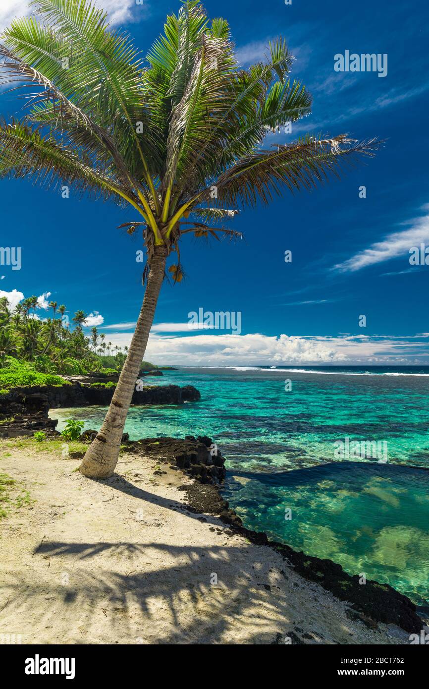 Taufua and samoa hi-res stock photography and images - Alamy