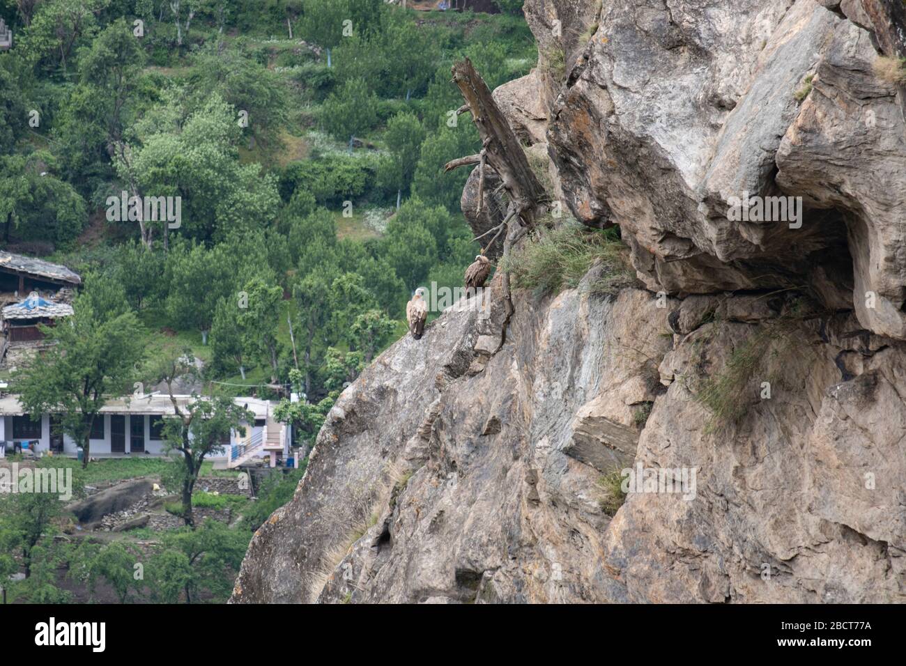 Rock patterns on a mountain surface in Sangla Valley Stock Photo - Alamy