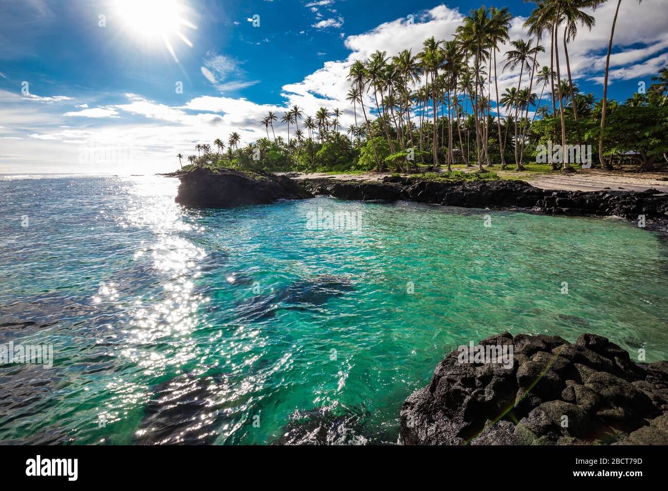 Vibrant tropical beach with palm trees, Upolu, Samoa Stock Photo - Alamy