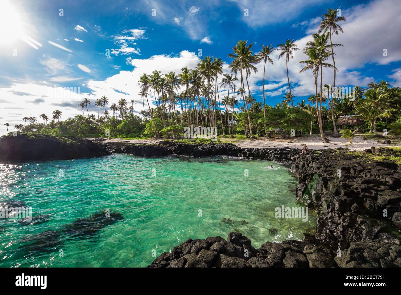 Tropical beach on south side of Samoa Island with coconut palm trees ...