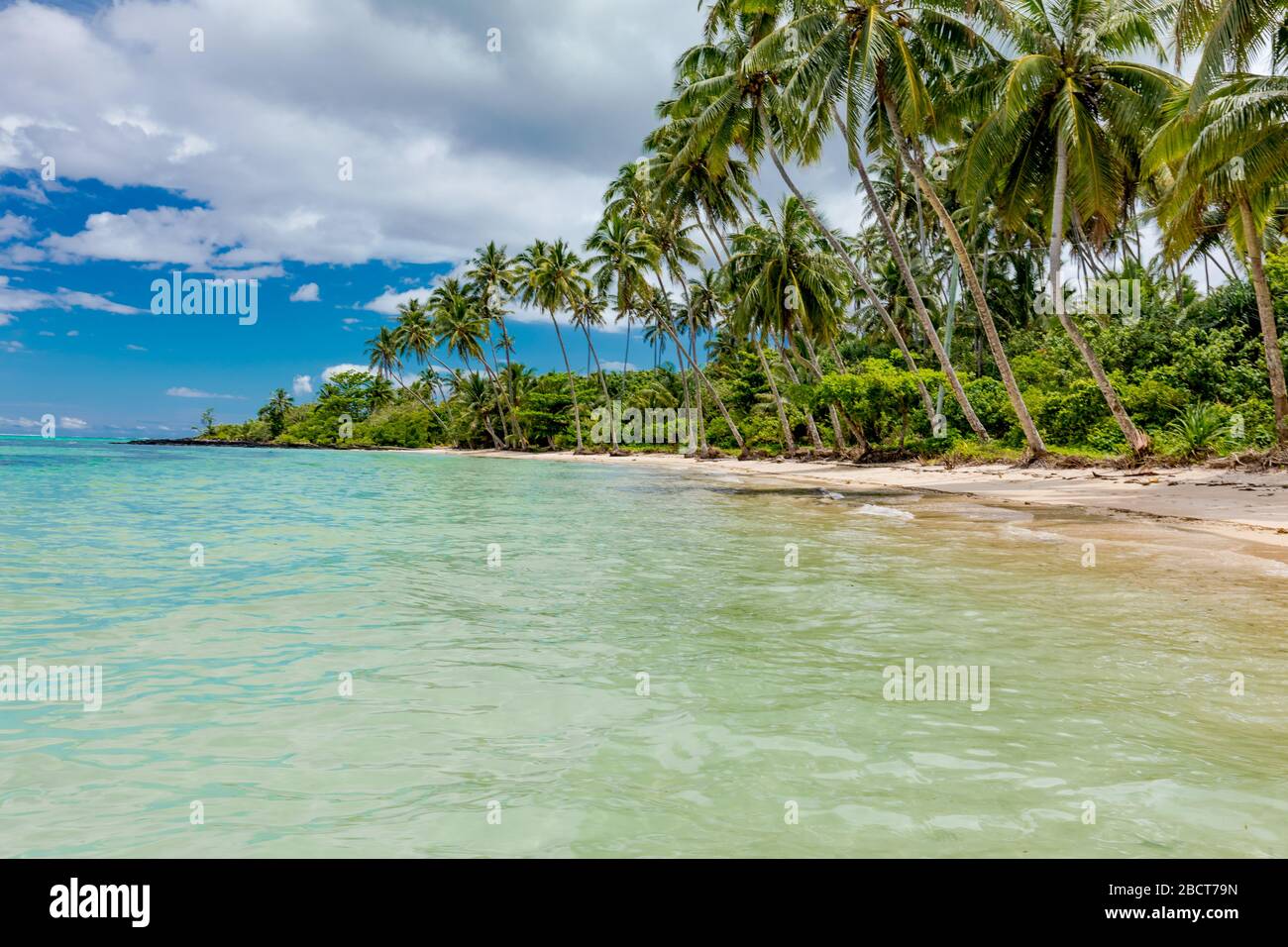 Tropical beach on south side of Samoa Island with coconut palm trees ...