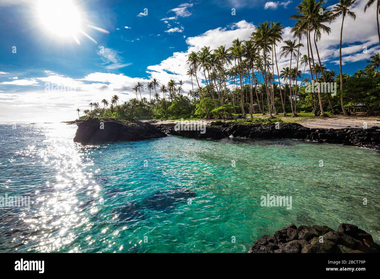 Tropical beach on south side of Samoa Island with coconut palm trees ...