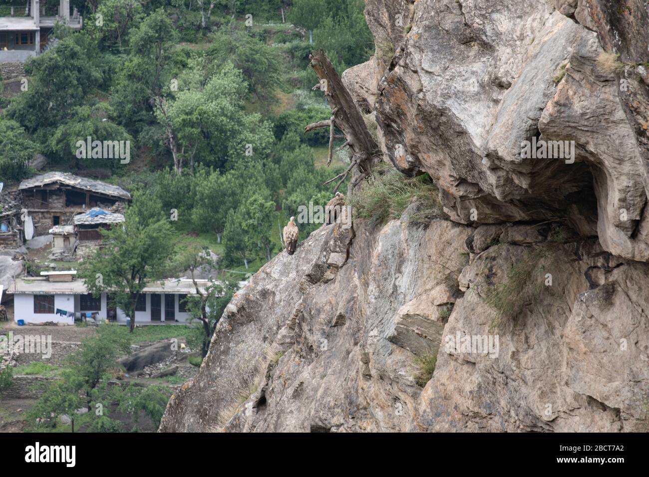 Rock patterns on a mountain surface in Sangla Valley Stock Photo - Alamy