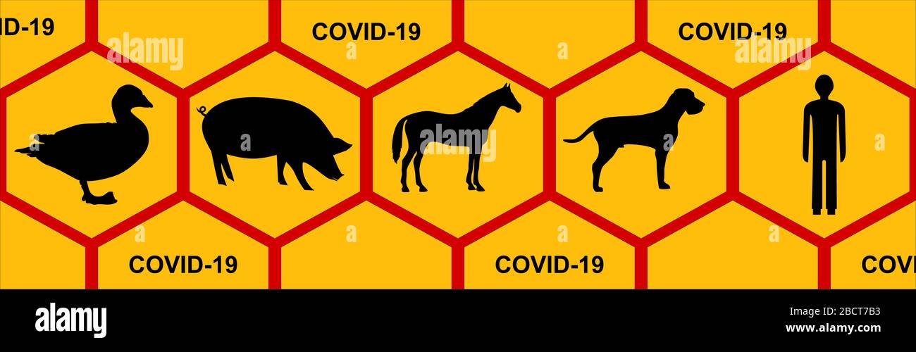 Graphic symbols of several mammals arranged in a row on one board Stock ...