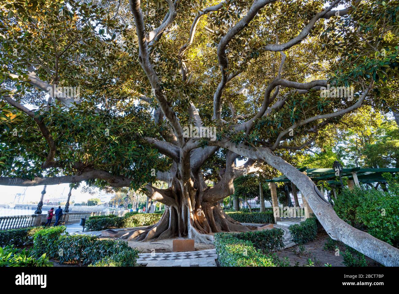 Alameda de Apodaca, a public park and an example of the eclectic style ...