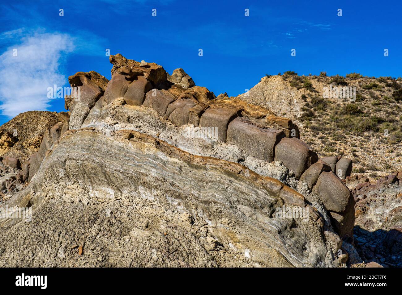 Dragon Tail, Colas de Dragon in Tabernas Desert in Almeria, Spain ...