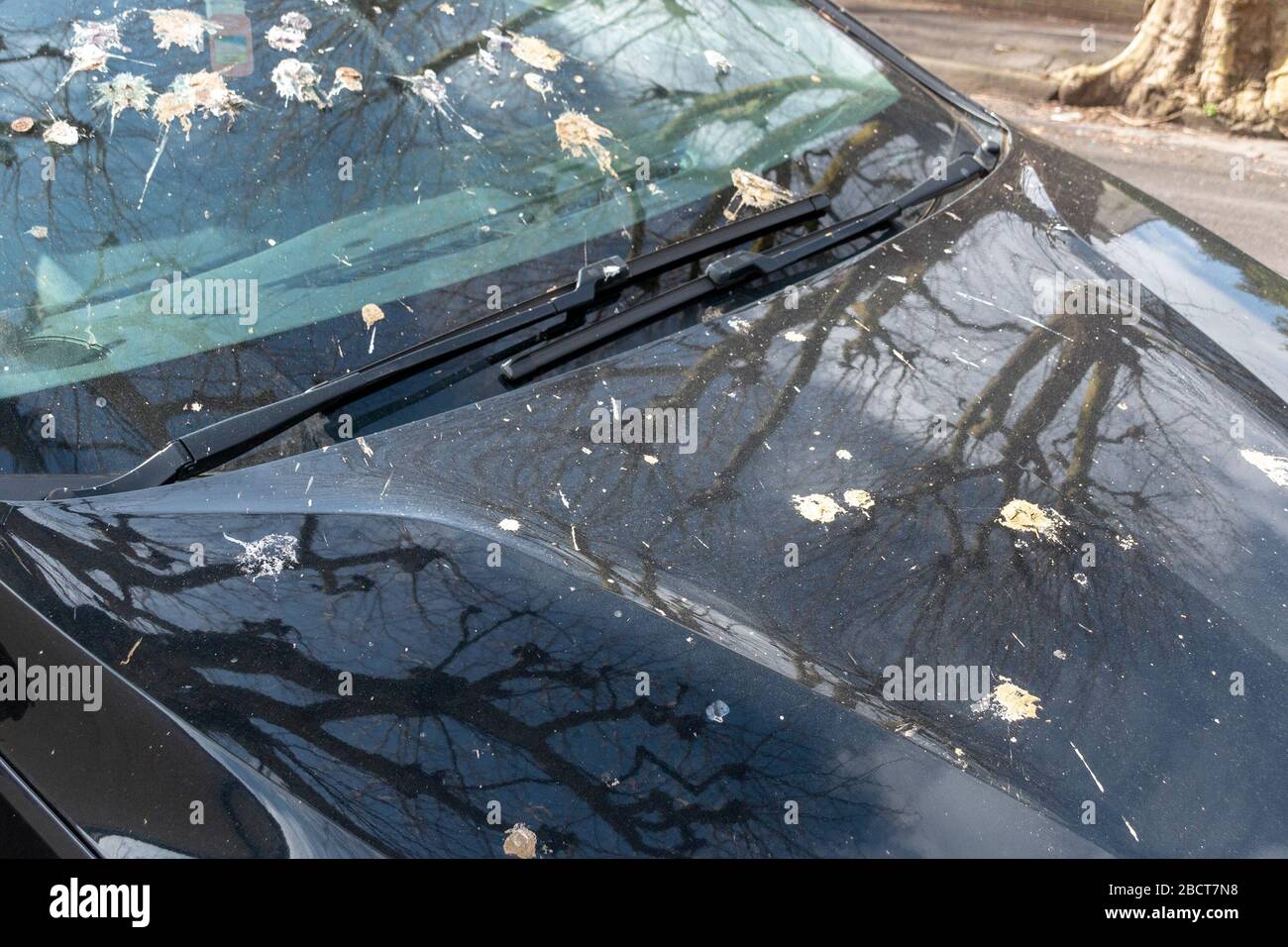 a close up view of a parked car that is covered in bird poo Stock Photo ...