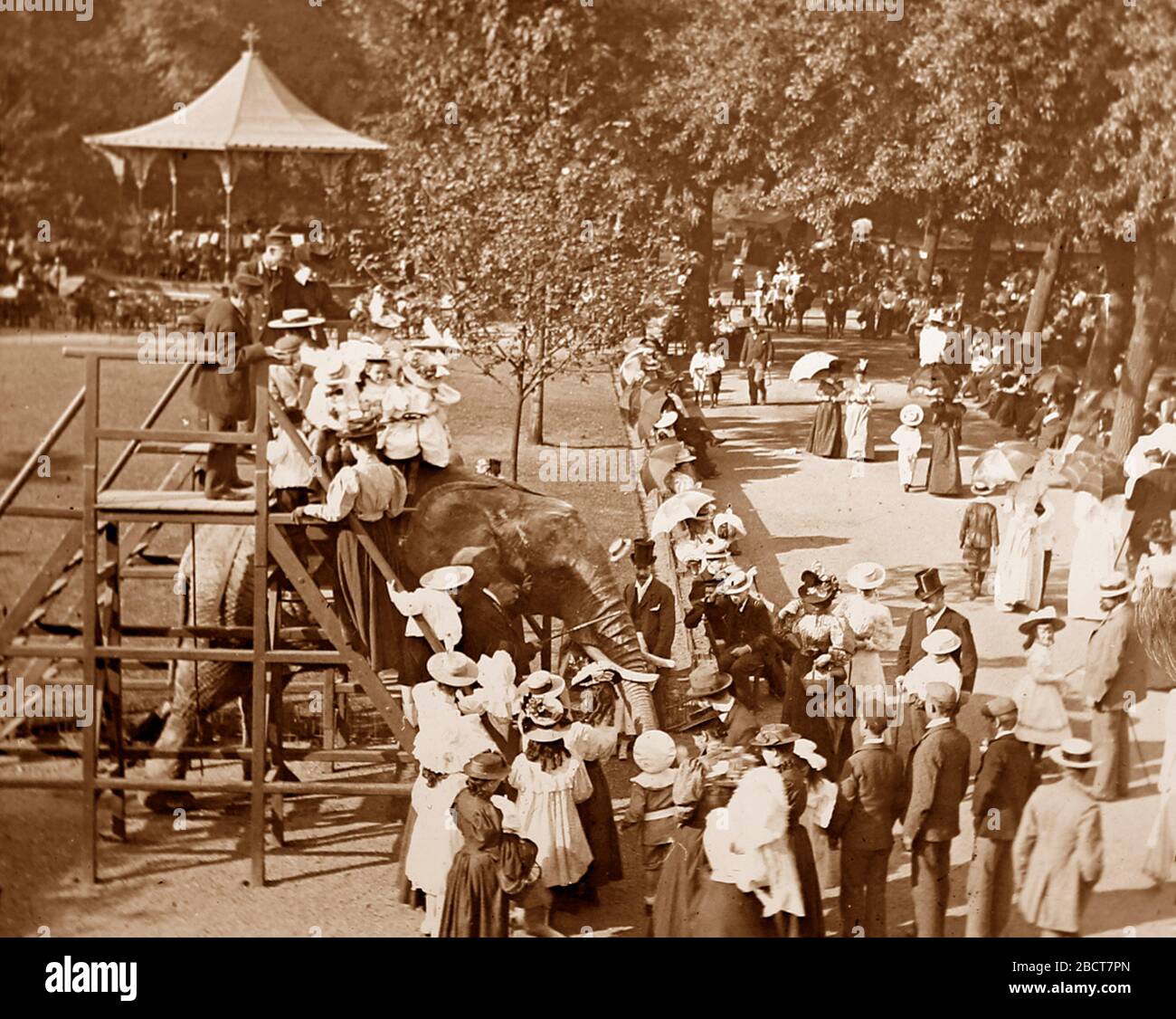 Queuing for elephant rides at a zoo, Victorian period Stock Photo - Alamy