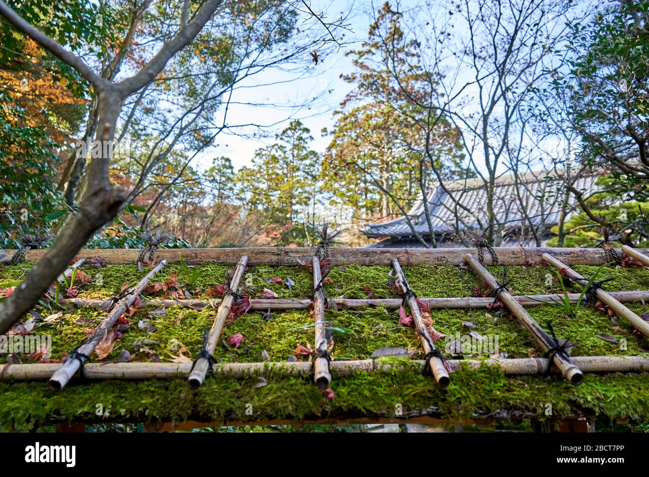 Wooden garden gate covered hi-res stock photography and images - Alamy