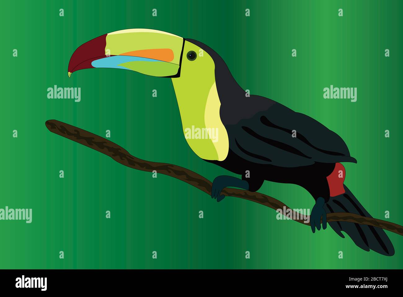 Toucans are members of the Neotropical near passerine bird family ...