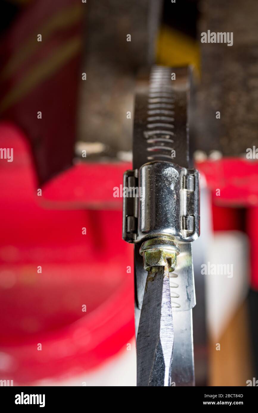 Flat bladed screwdriver in a metal hose clamp Stock Photo - Alamy