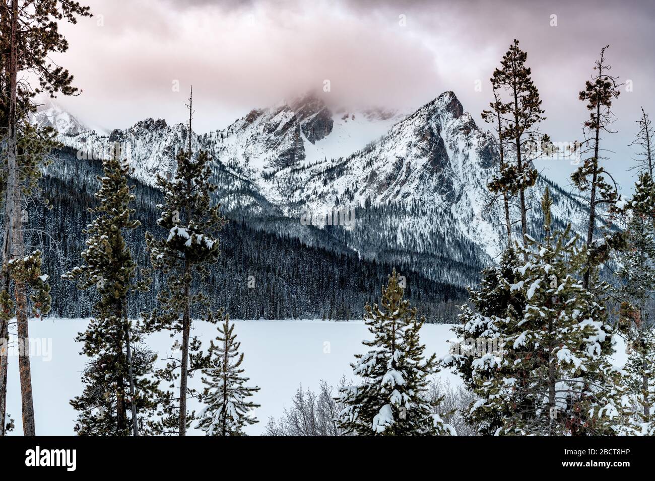 Sawtooth Nation Forest in winter with mountain and pine trees Stock ...