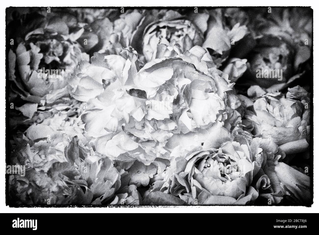 Retro monochrome black white hi-res stock photography and images - Alamy