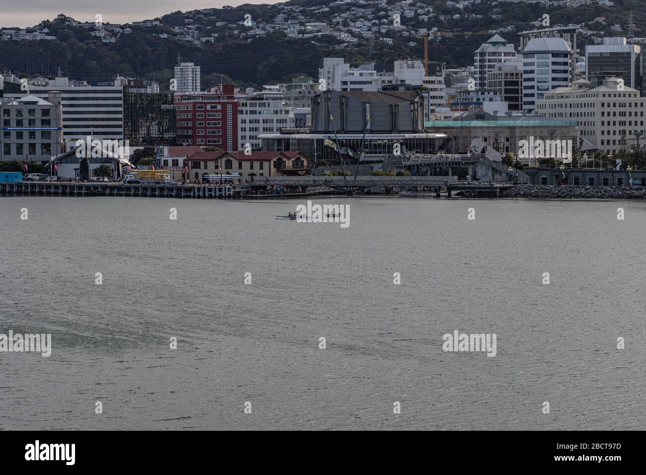 Wellington waterfront seen from ferry Stock Photo - Alamy