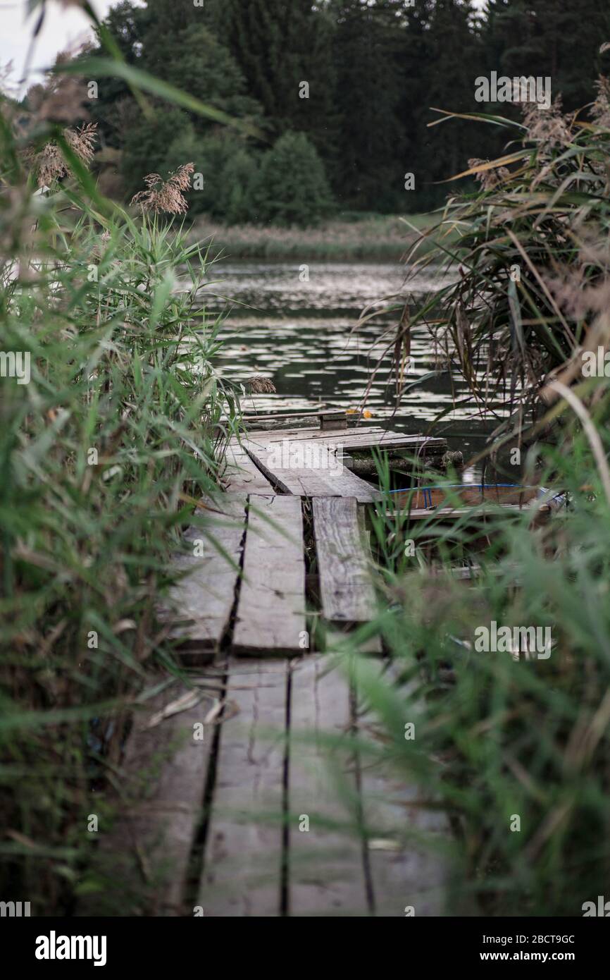 Fishing path leads to the lake through the reeds. Amazing nature ...
