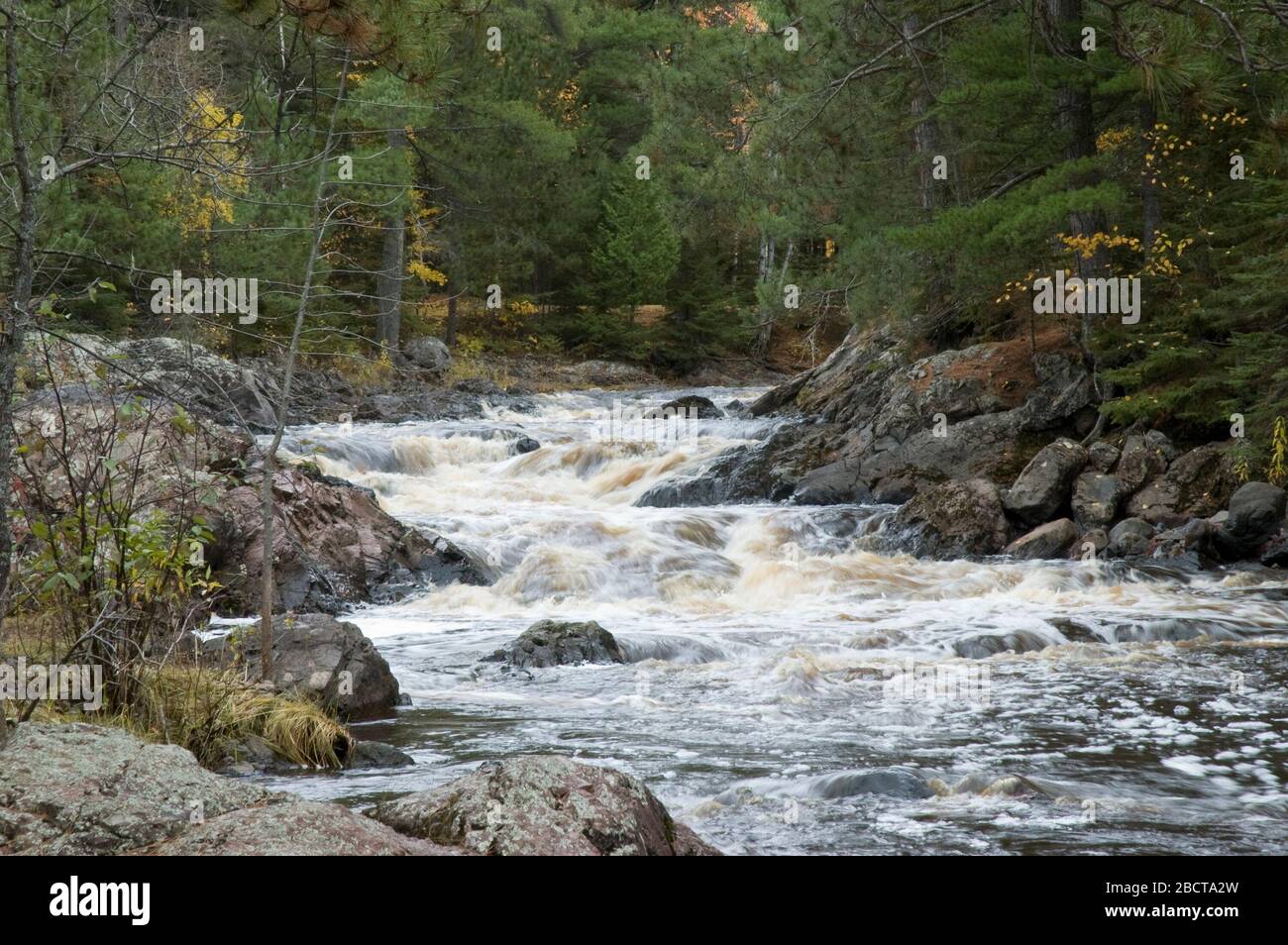 image of a brook rushing through northland forest Stock Photo - Alamy