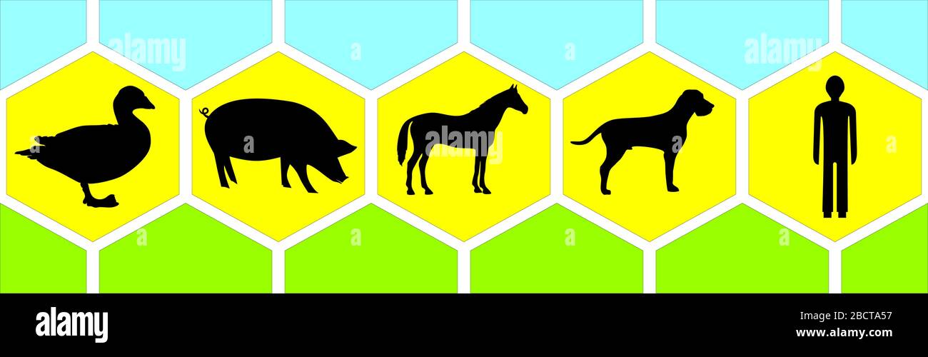 Graphic symbols of several mammals arranged in a row on one board Stock ...