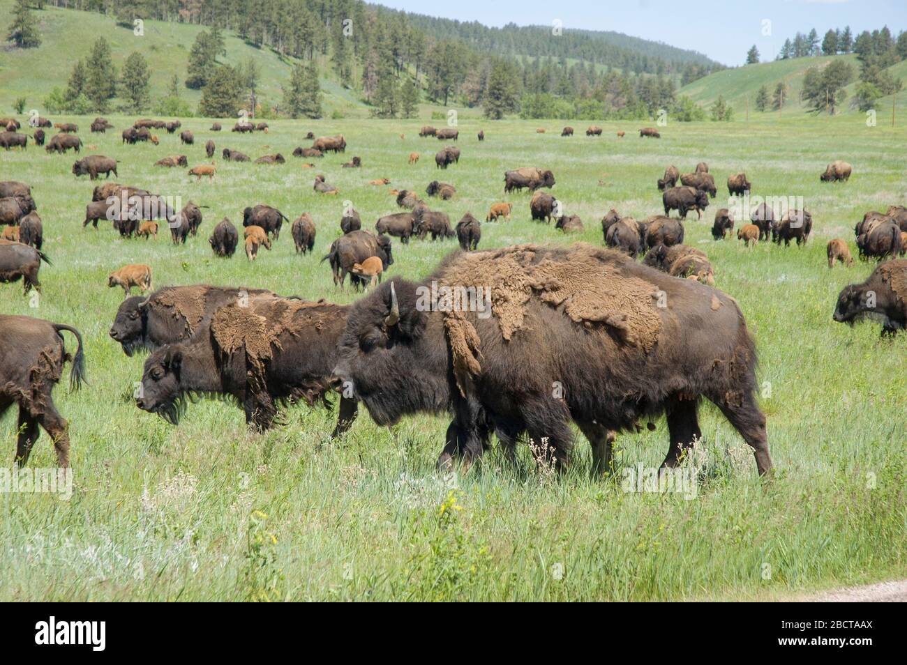 Shedding winter coats hi-res stock photography and images - Alamy