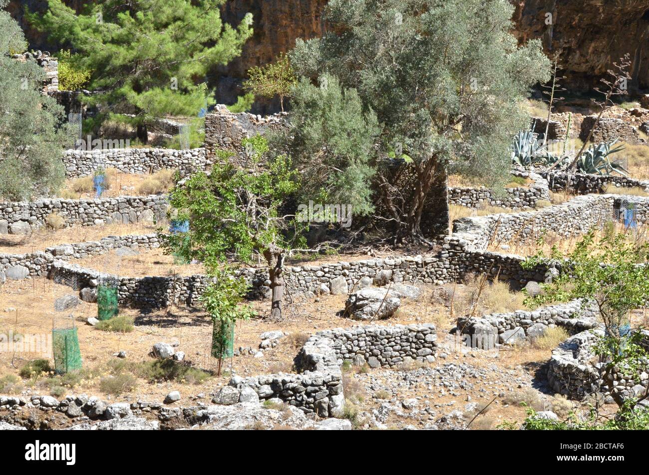 Samaria Village in Samaria Gorge Stock Photo - Alamy
